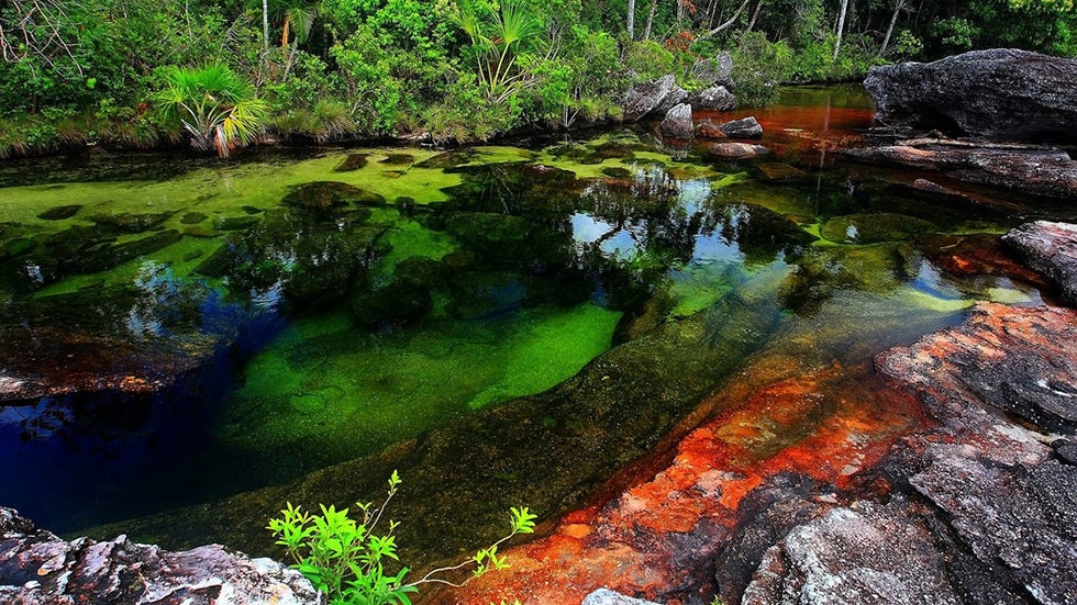 Beautiful Photos of the River of Five Colors | The Weather Channel