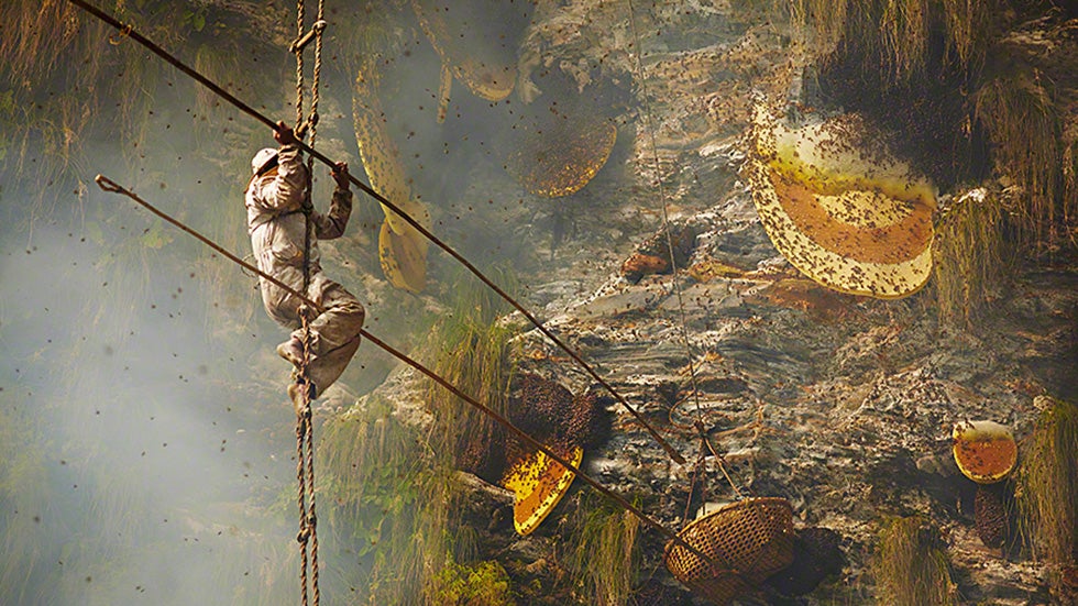 Photographer Documents the Incredible Tradition of Nepalese Honey ...