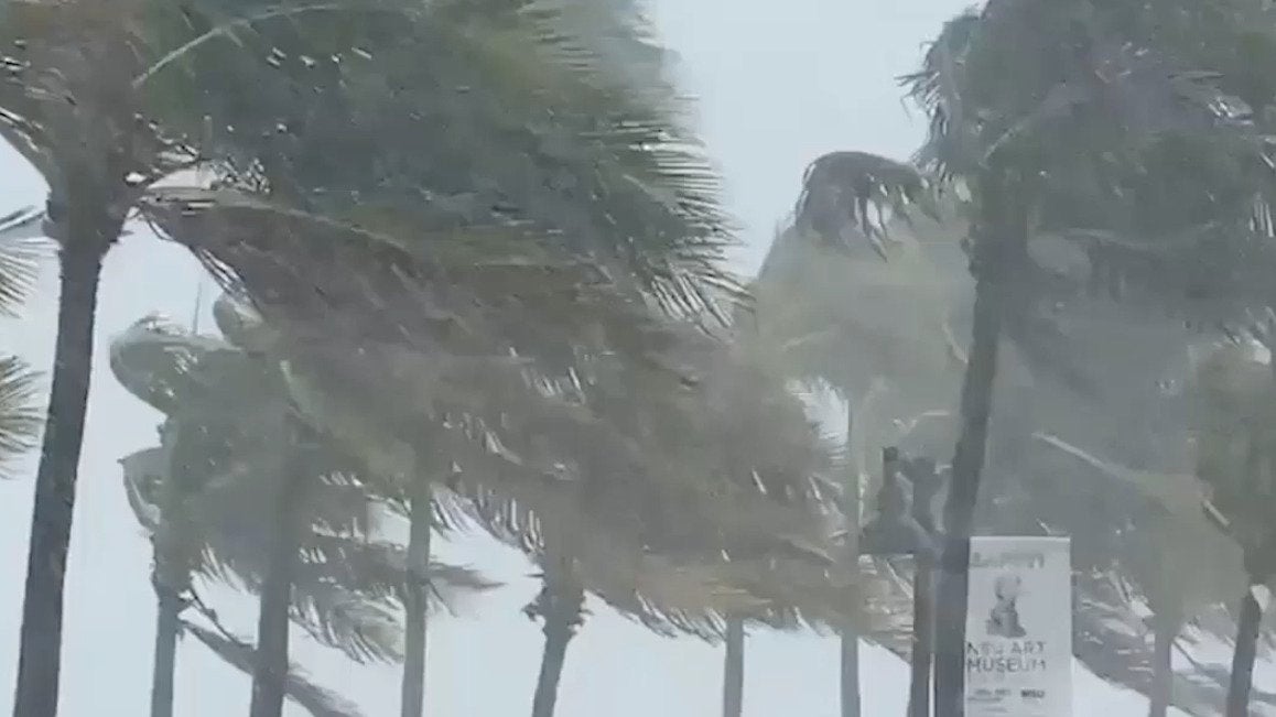 Manta Ray Given Mirror Test, Passes - Videos from The Weather Channel ...