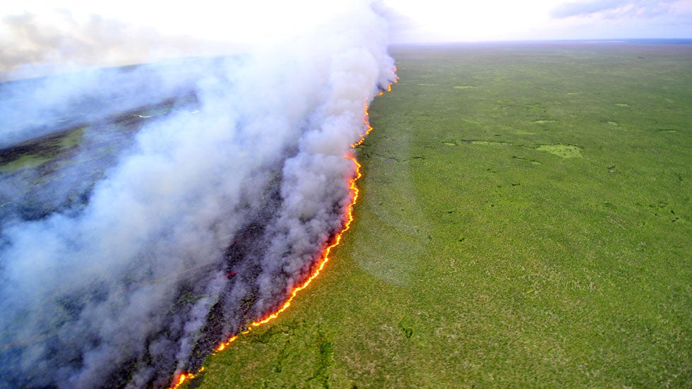 Humans Have Exhausted All of Earth's Resources for 2015 in Less Than 8 ...