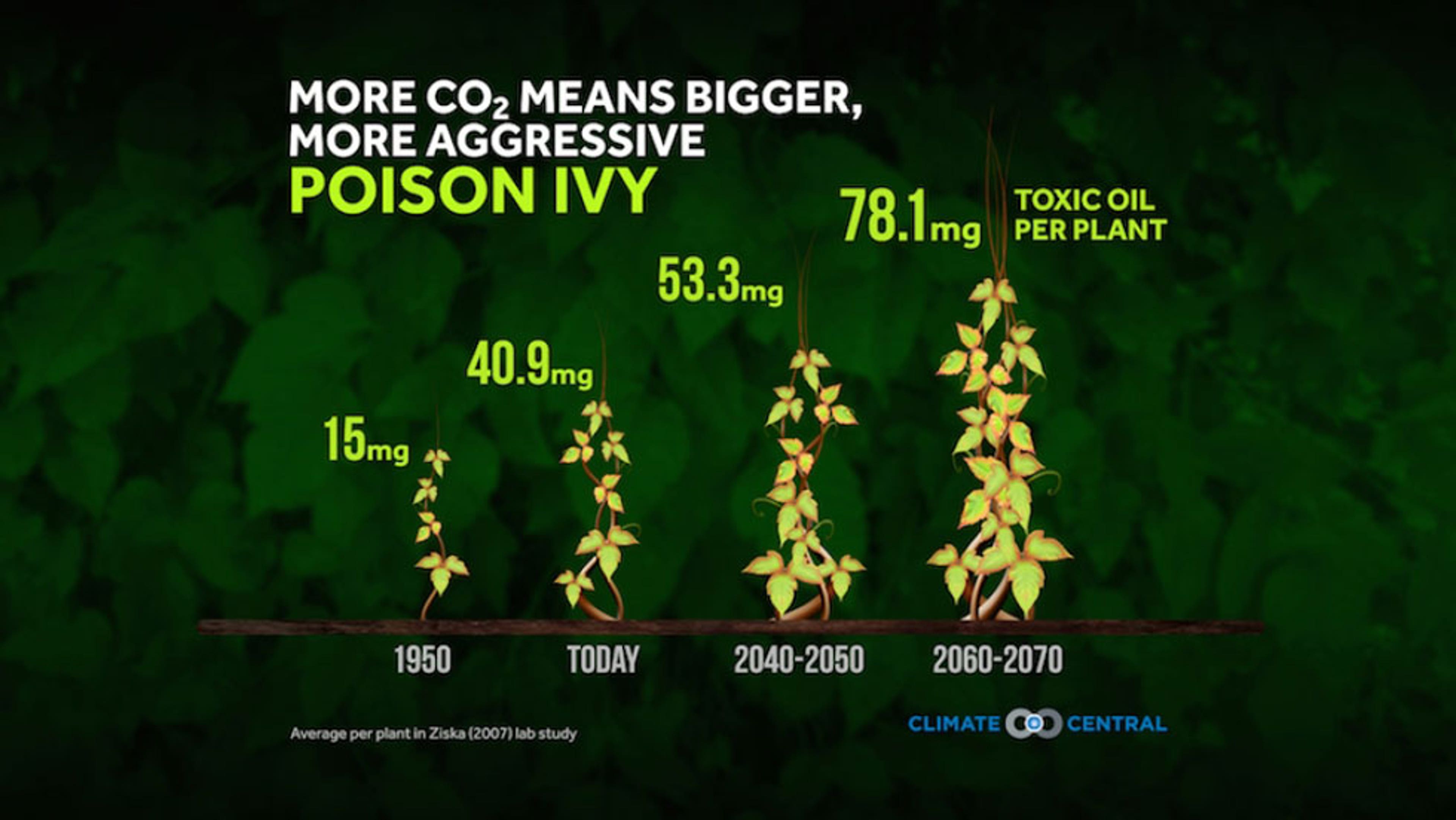 What Warming Means For Four of Summer's Worst Pests | The Weather Channel