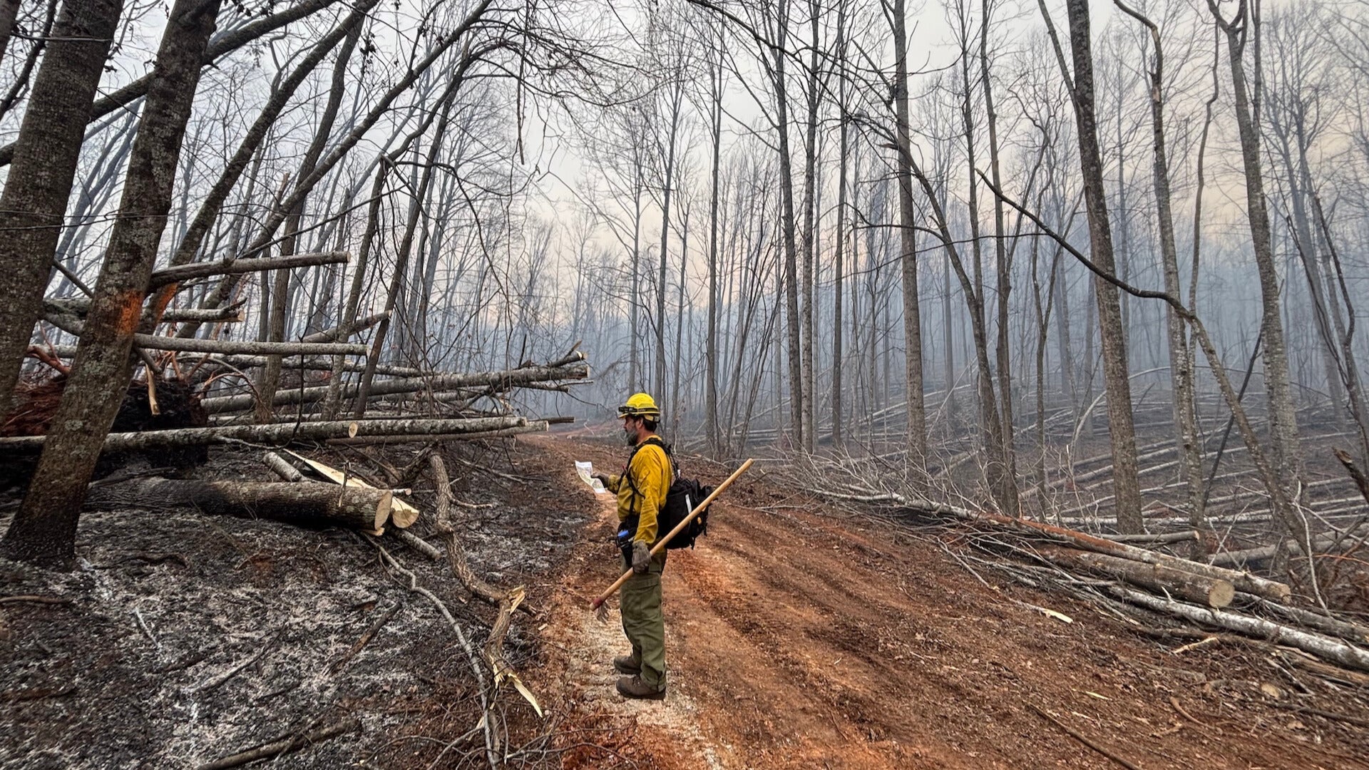 Wildfire Risk Is Growing In The East, Here's Why | Weather.com