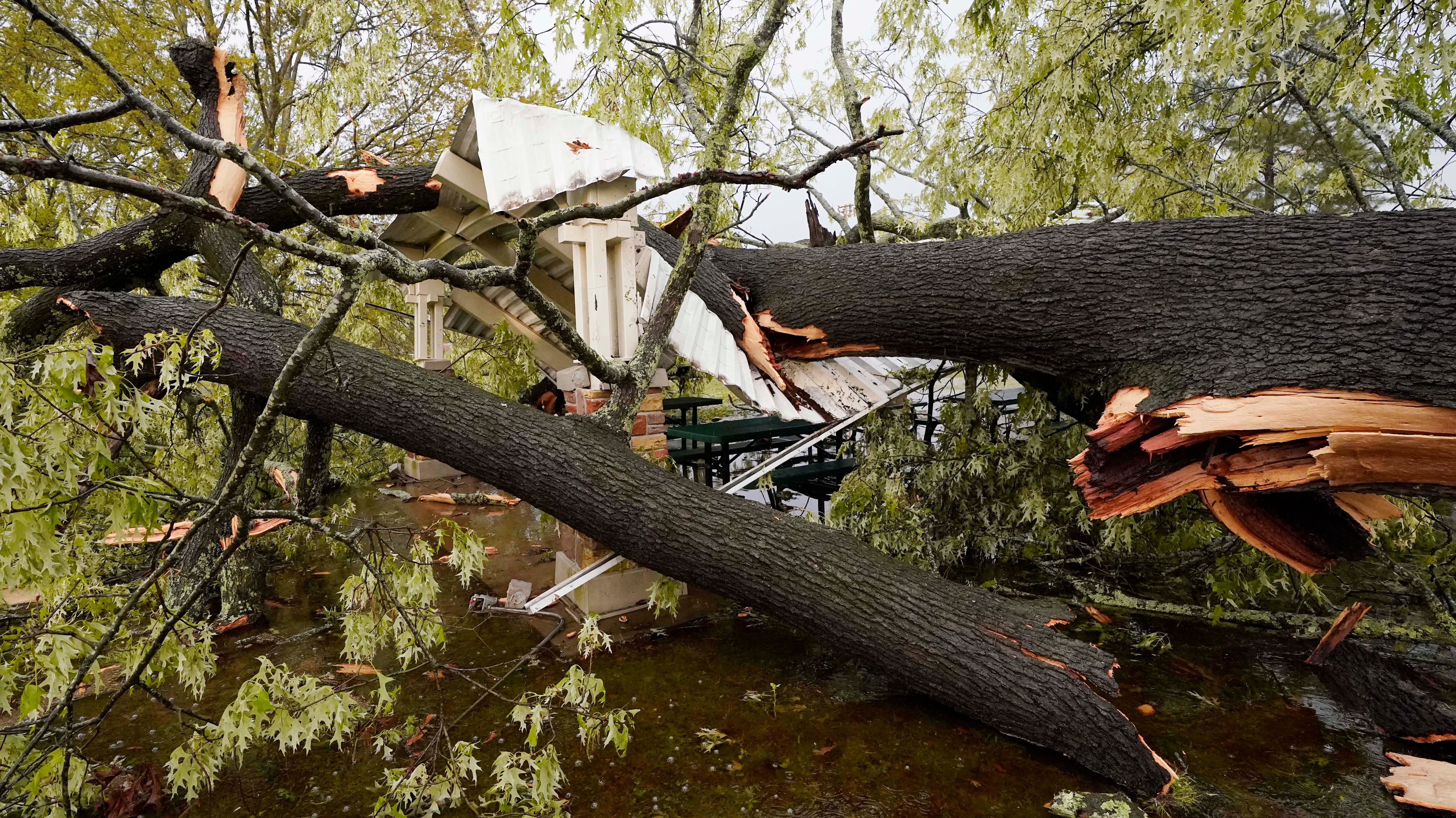Severe Weather Outbreak Leaves Trail of Damage Across the South (PHOTOS ...