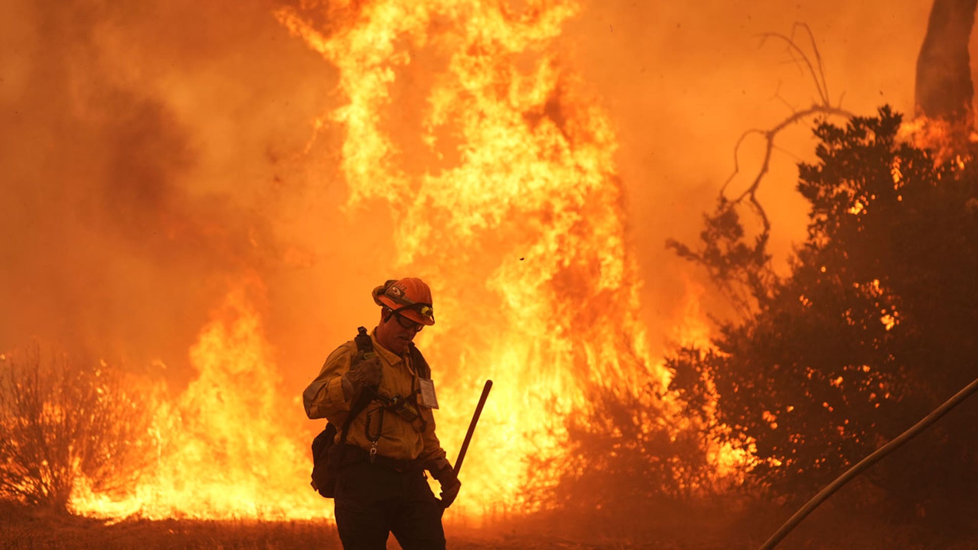 Canyon Fire Pictures: Wildfire Forces Evacuations In California ...