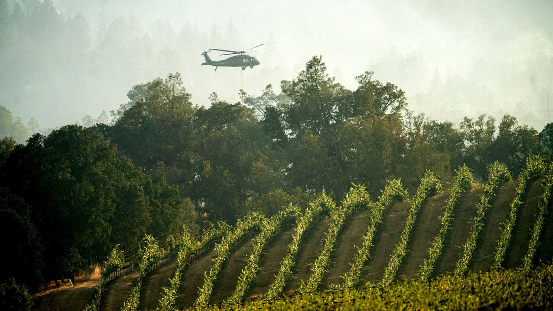 Pickett Fire In California Threatens Napa Vineyards | Weather.com
