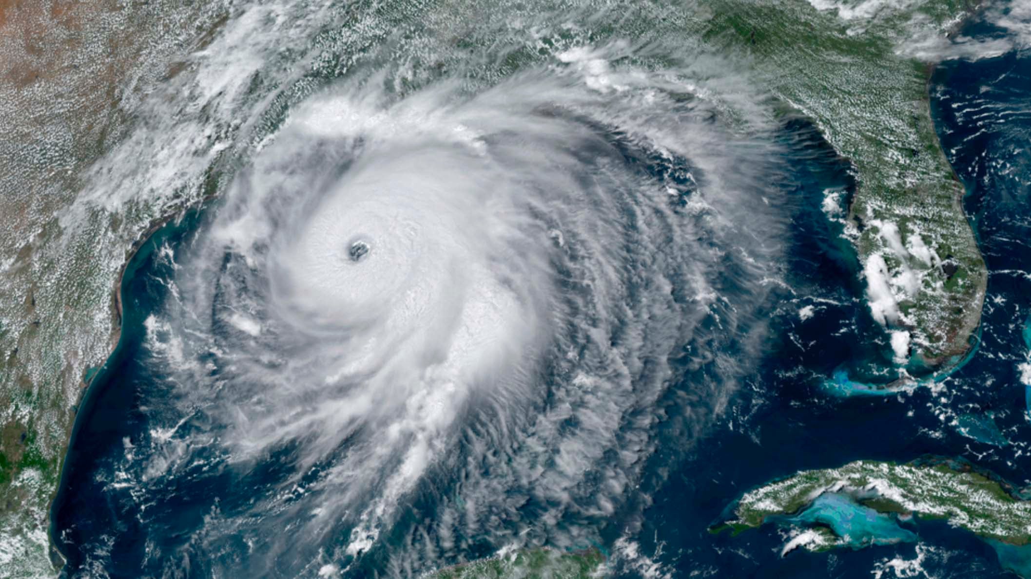 Venice, FL Weather Forecast and Conditions - The Weather Channel ...