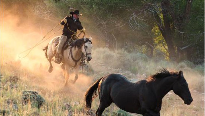 2015 It's Amazing Out There Photo Contest Editors' Picks: Best of ...