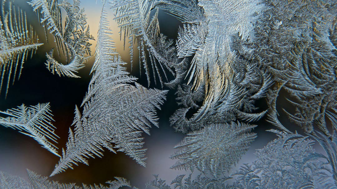 Hidden Patterns in Macro Frost (PHOTOS) | The Weather Channel