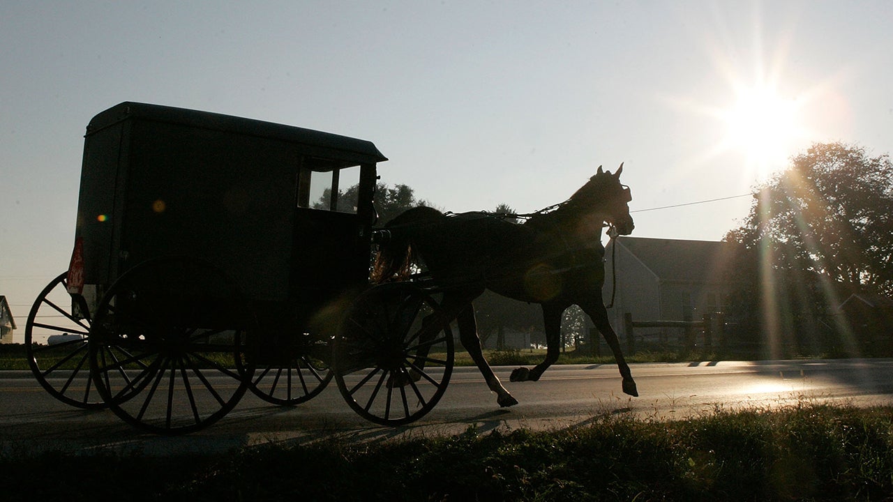Floodwaters in Kentucky Sweep Away Amish Buggy; 4 Children Killed, 1 ...