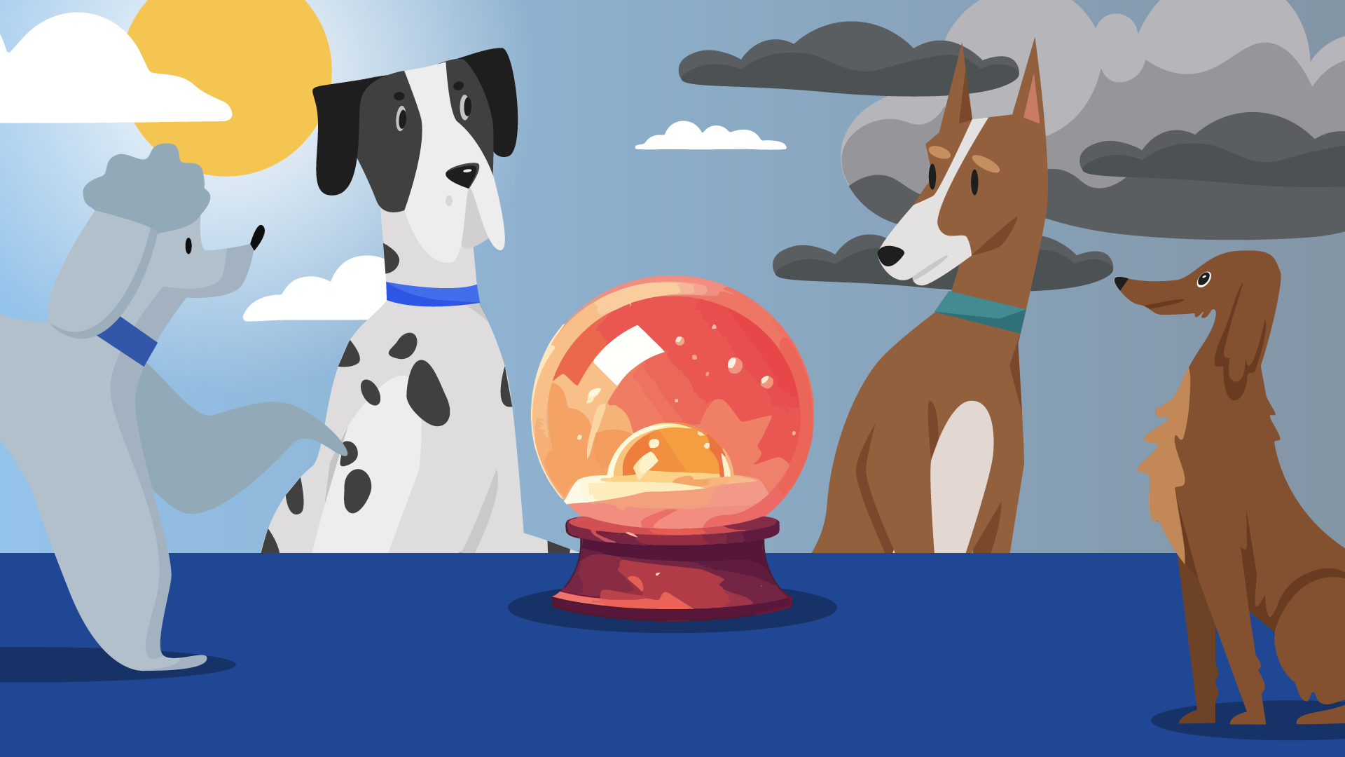 Ask A Met: Can Animals Predict The Weather? | Weather.com