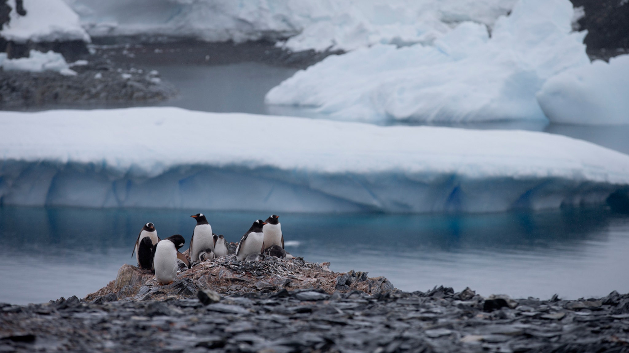 NASA Photo Reveals a Startling 300-Foot-Wide Rift in Antarctic Ice ...
