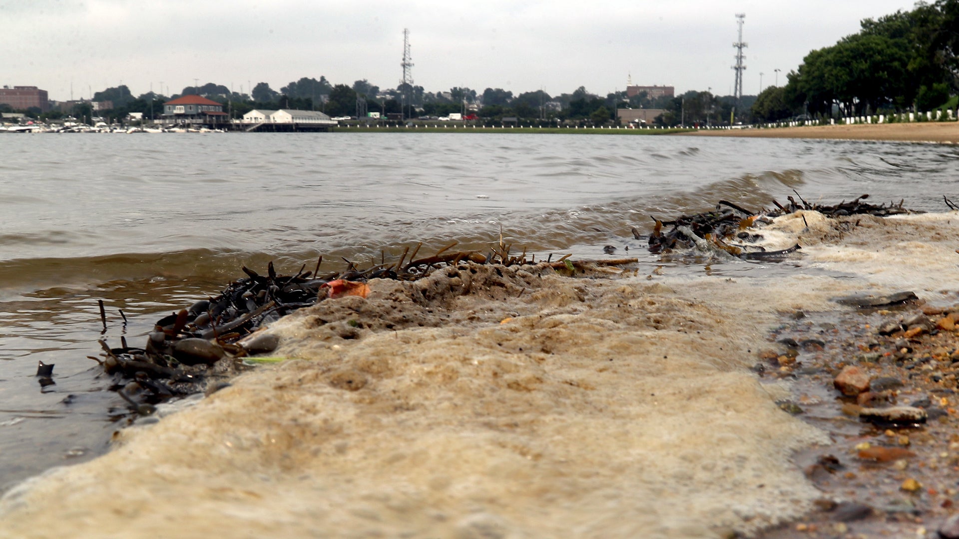 National and Local Weather Radar, Daily Forecast, Hurricane and ...