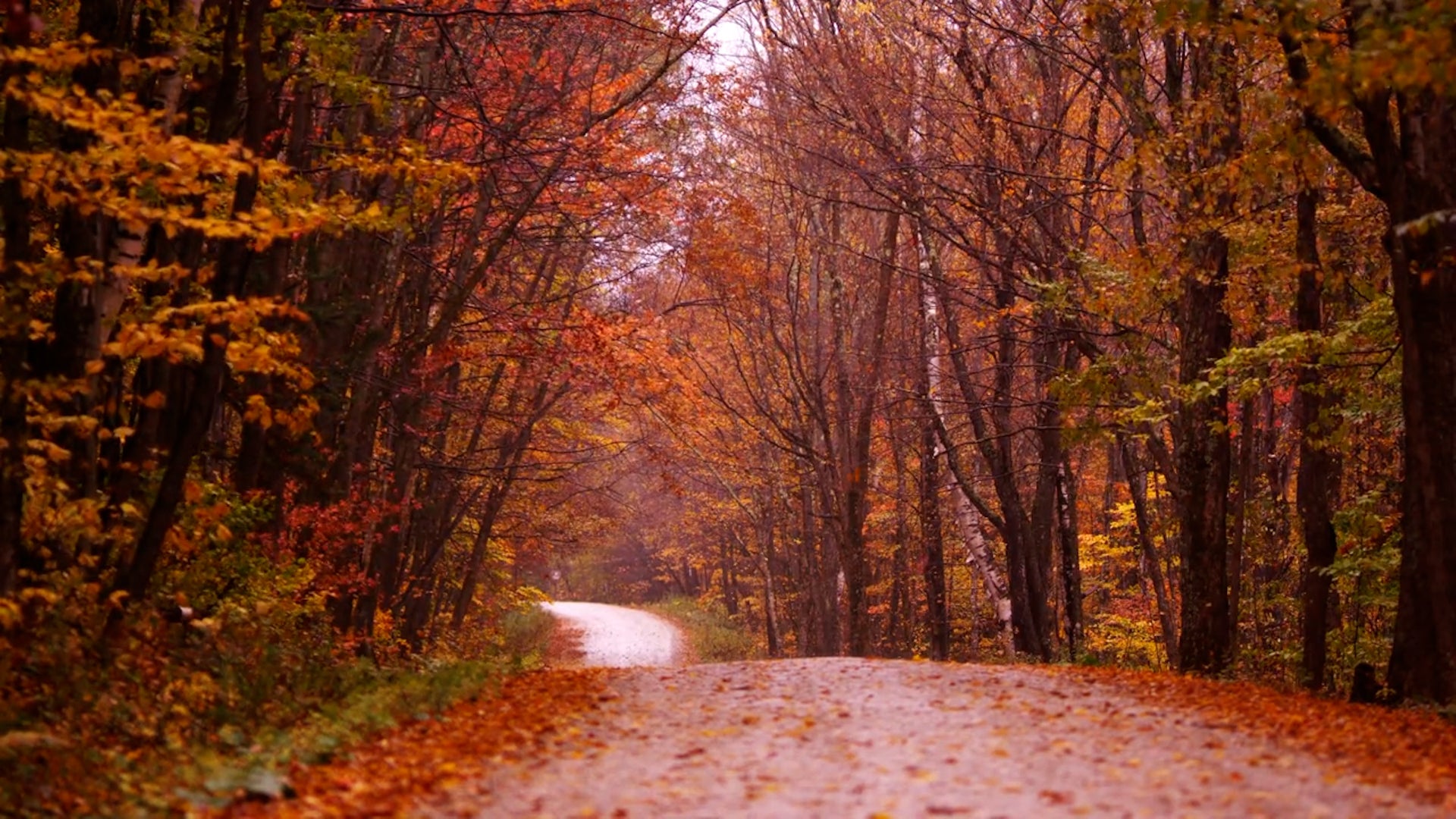 Meteorological Fall Starts Sunday | Weather.com