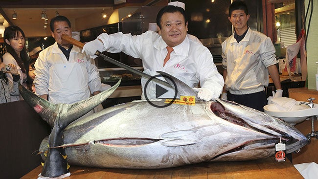 The Jaw-Dropping Price One Guy Paid for Pacific Bluefin Tuna | The ...
