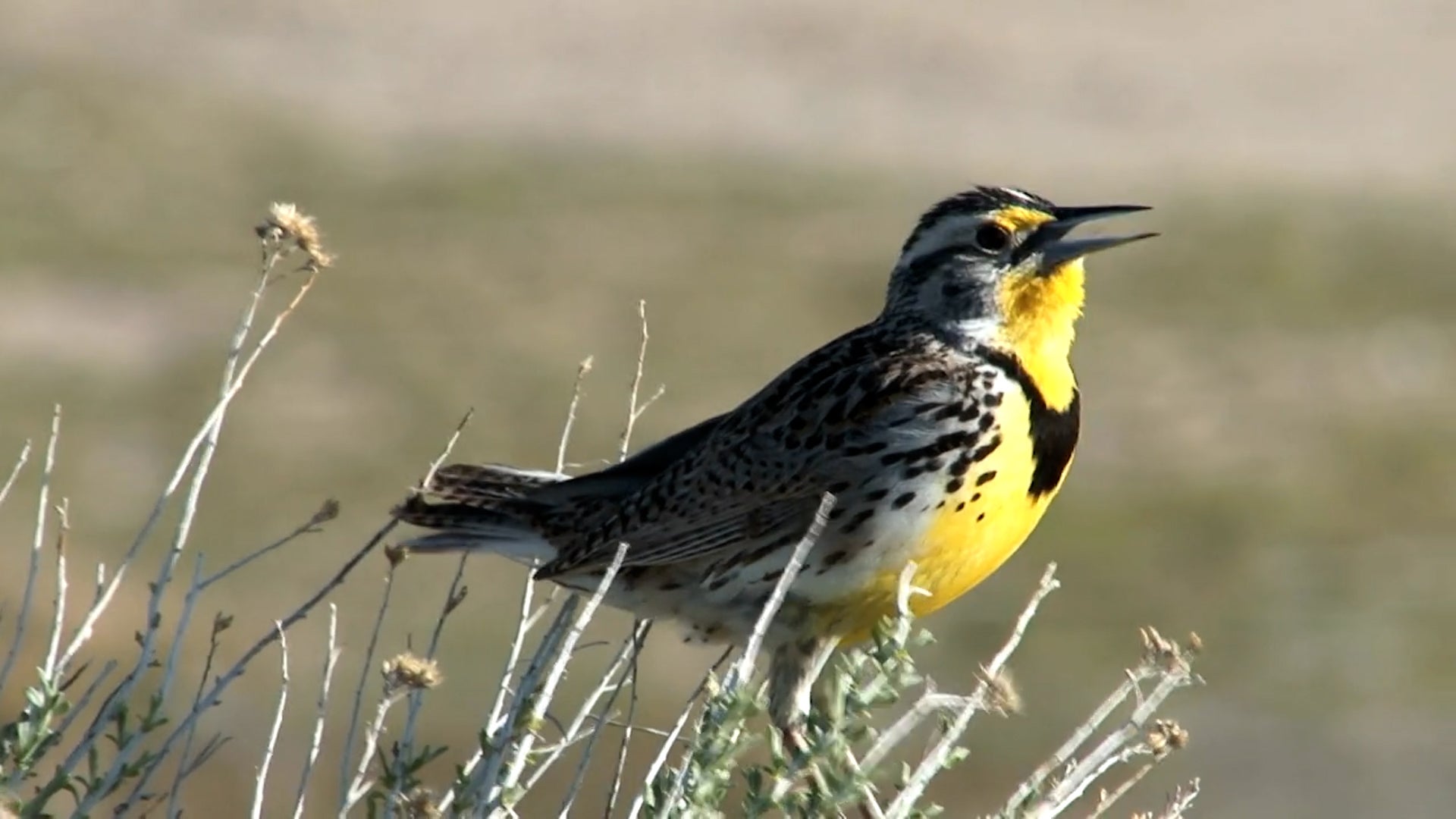 Weather Forecast and Conditions for Gap, PA - The Weather Channel ...