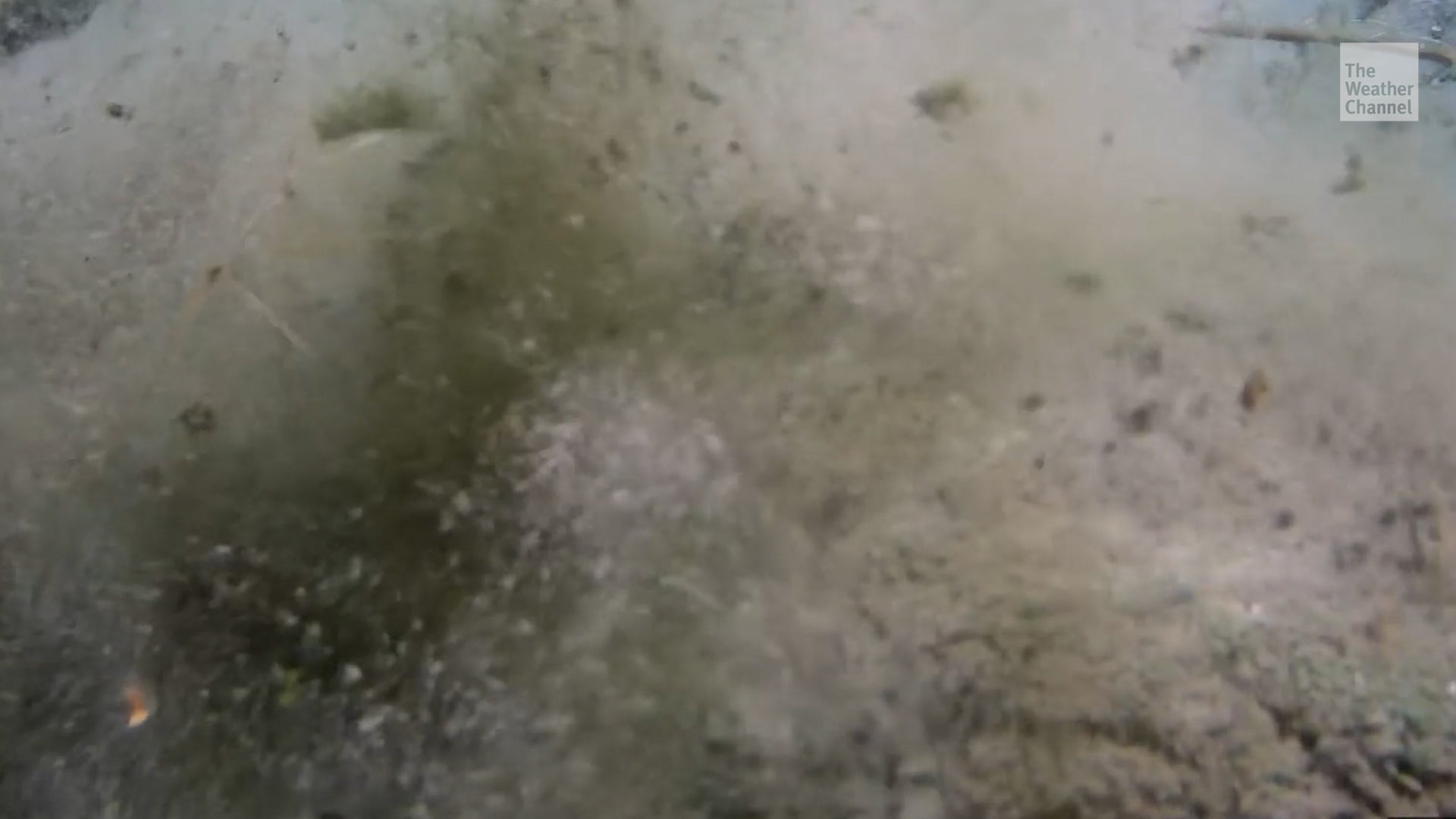 Weather Forecast and Conditions for Anderson, SC - The Weather Channel ...