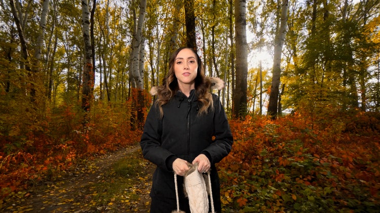 Weather Forecast and Conditions for Howell, Michigan 48843 | weather.com