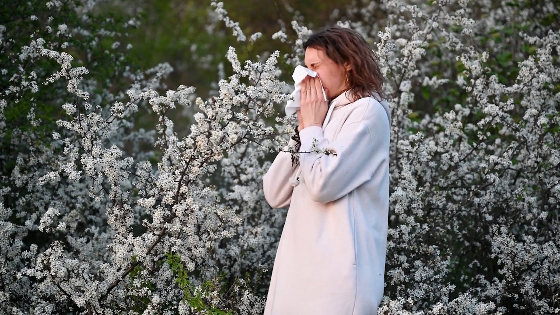 How Humidity Affects Allergies | Weather.com