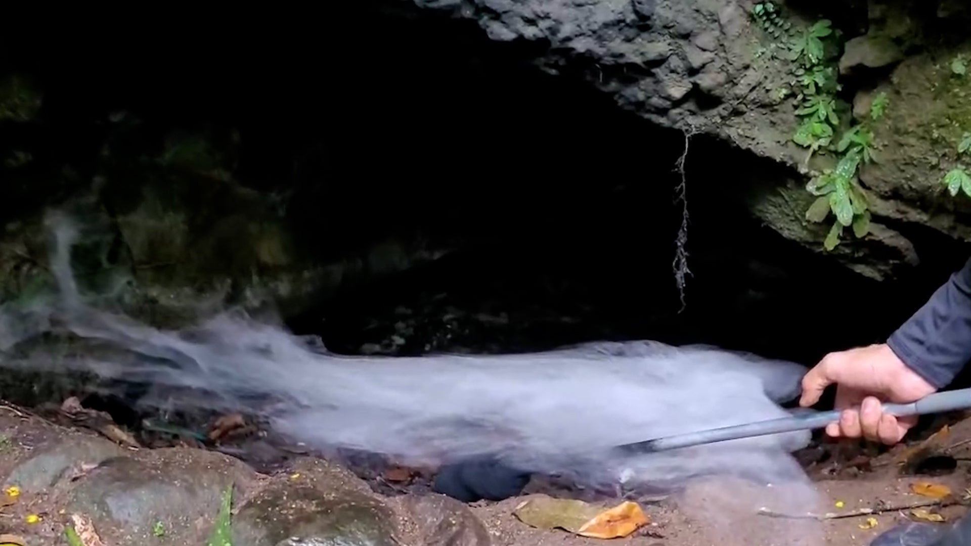 Secrets Of The 'Cave Of Death' Revealed - Videos from The Weather Channel