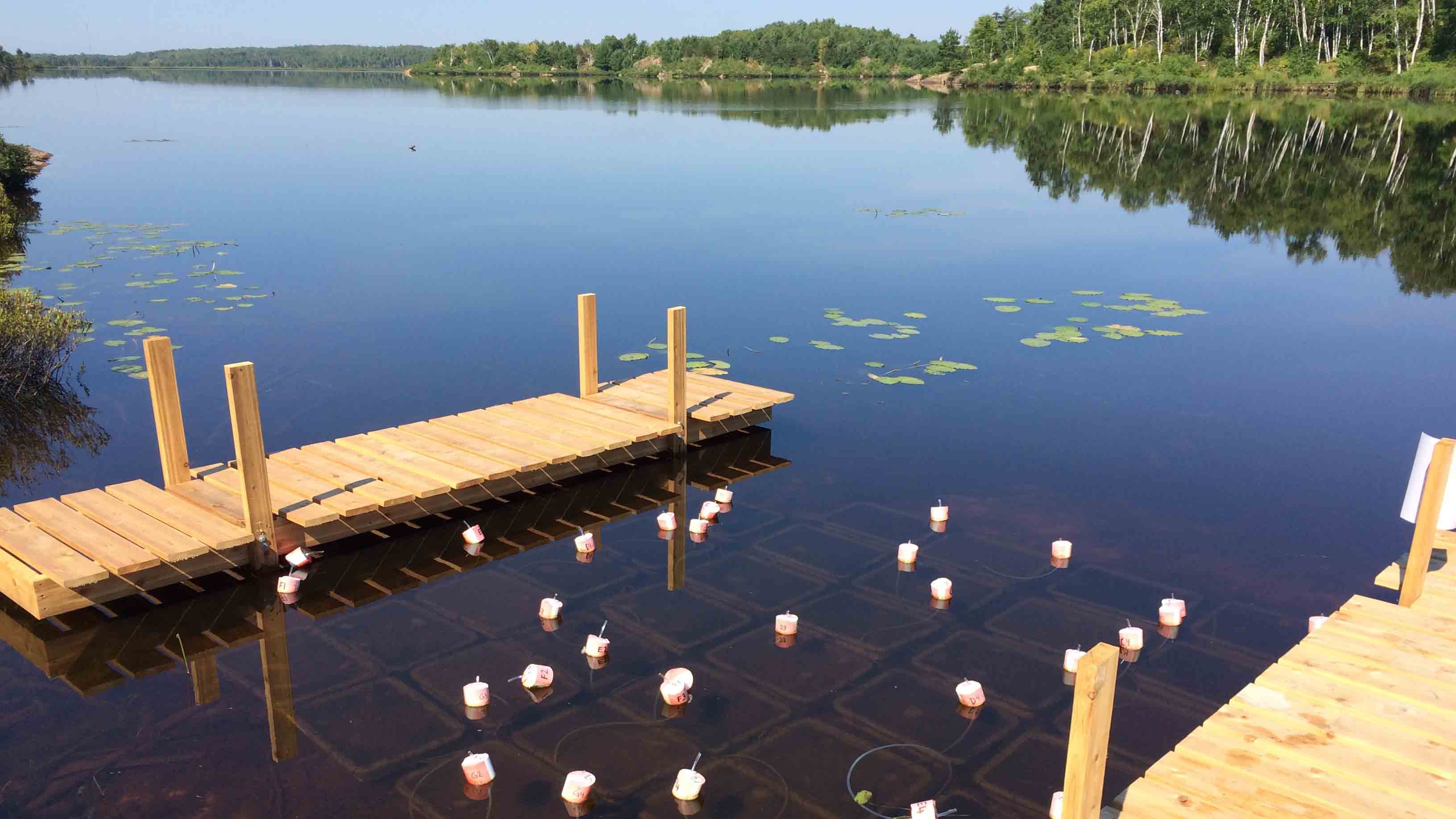 Climate Change Could Double Greenhouse Gas Emissions from Lakes, New ...