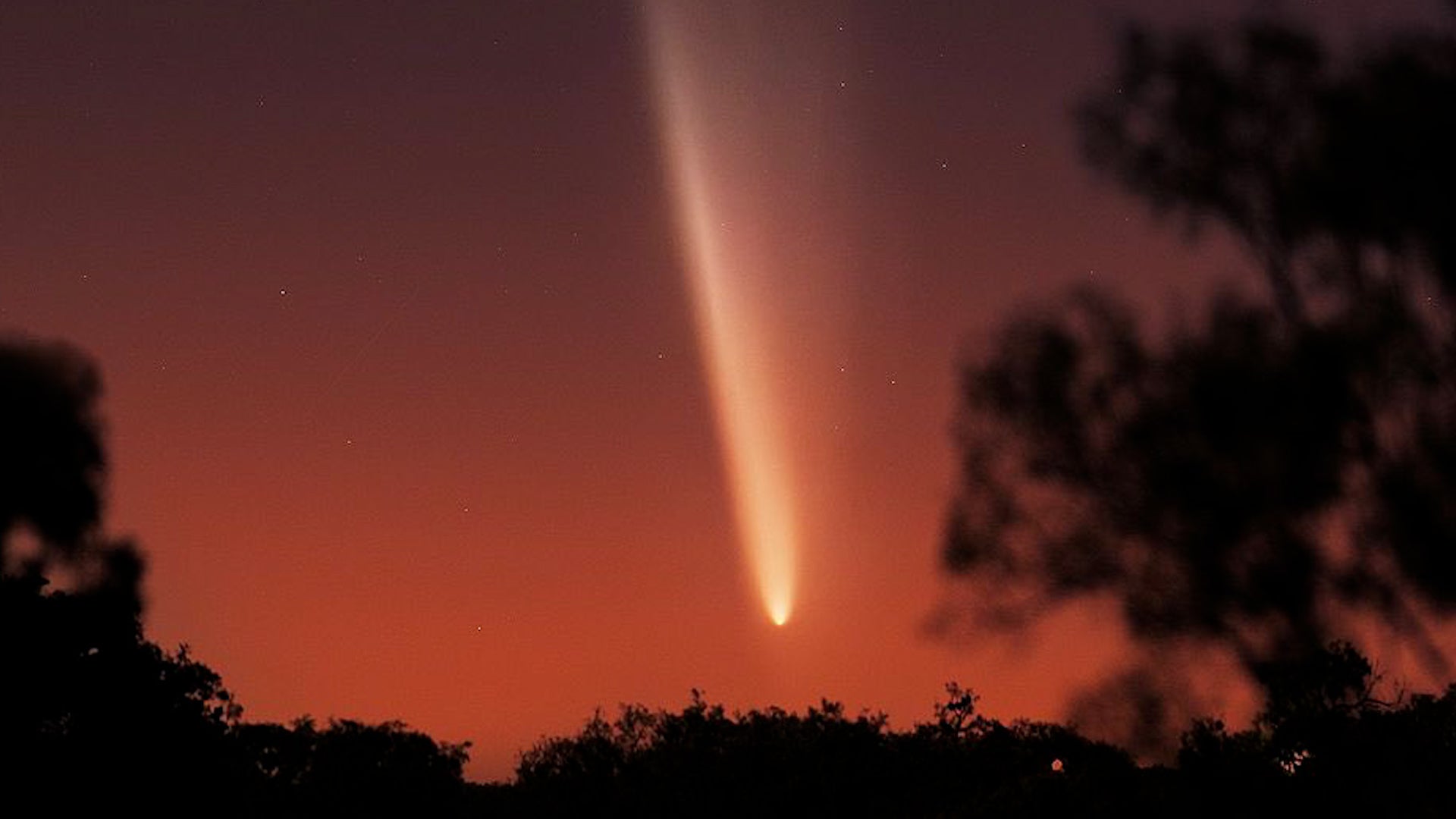 Watch: Comet Blazes In The Sky In Rare Display - Videos from The ...