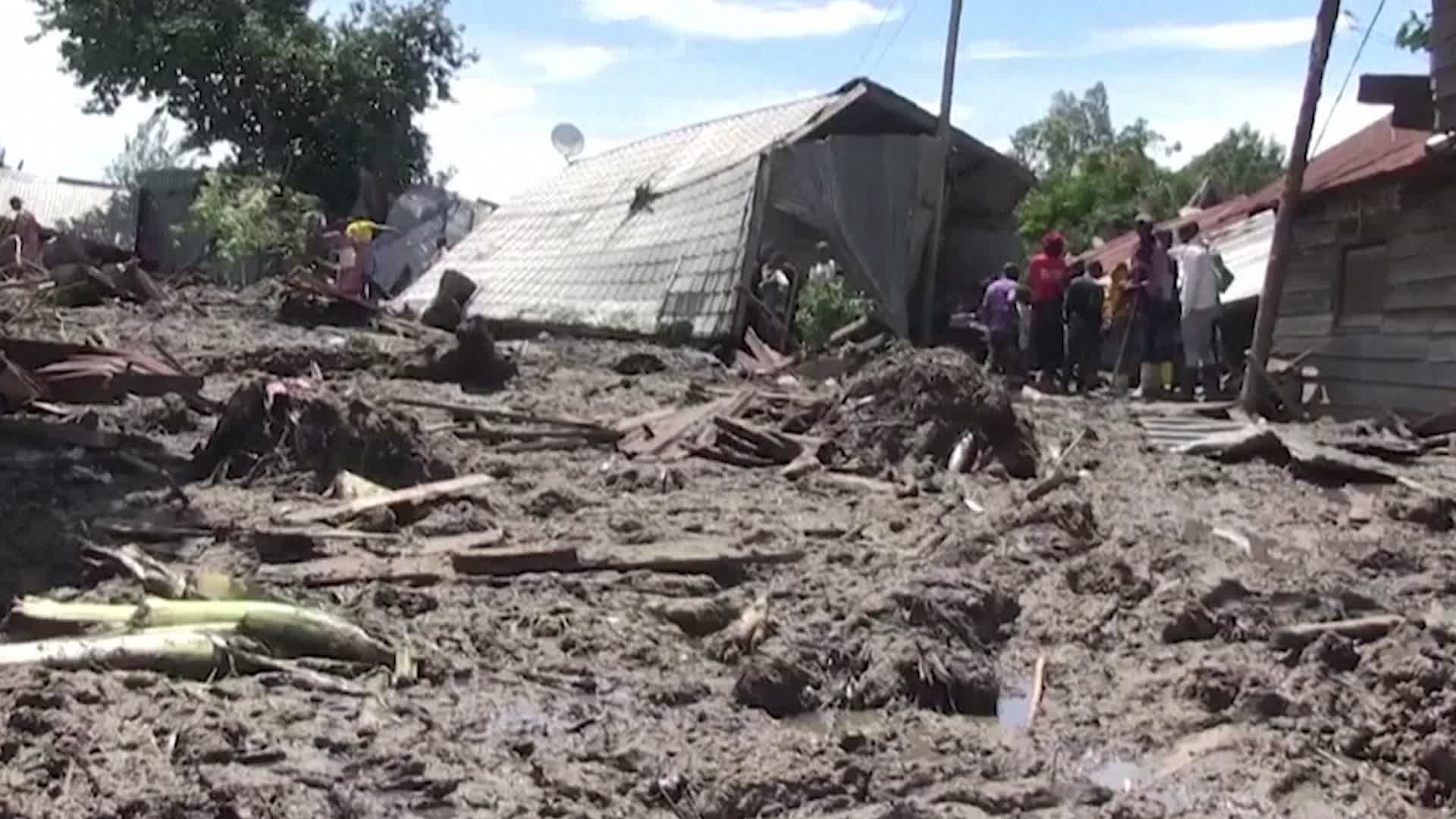 Humanity's Impact on Earth Illustrated in 'Overdevelopment ...