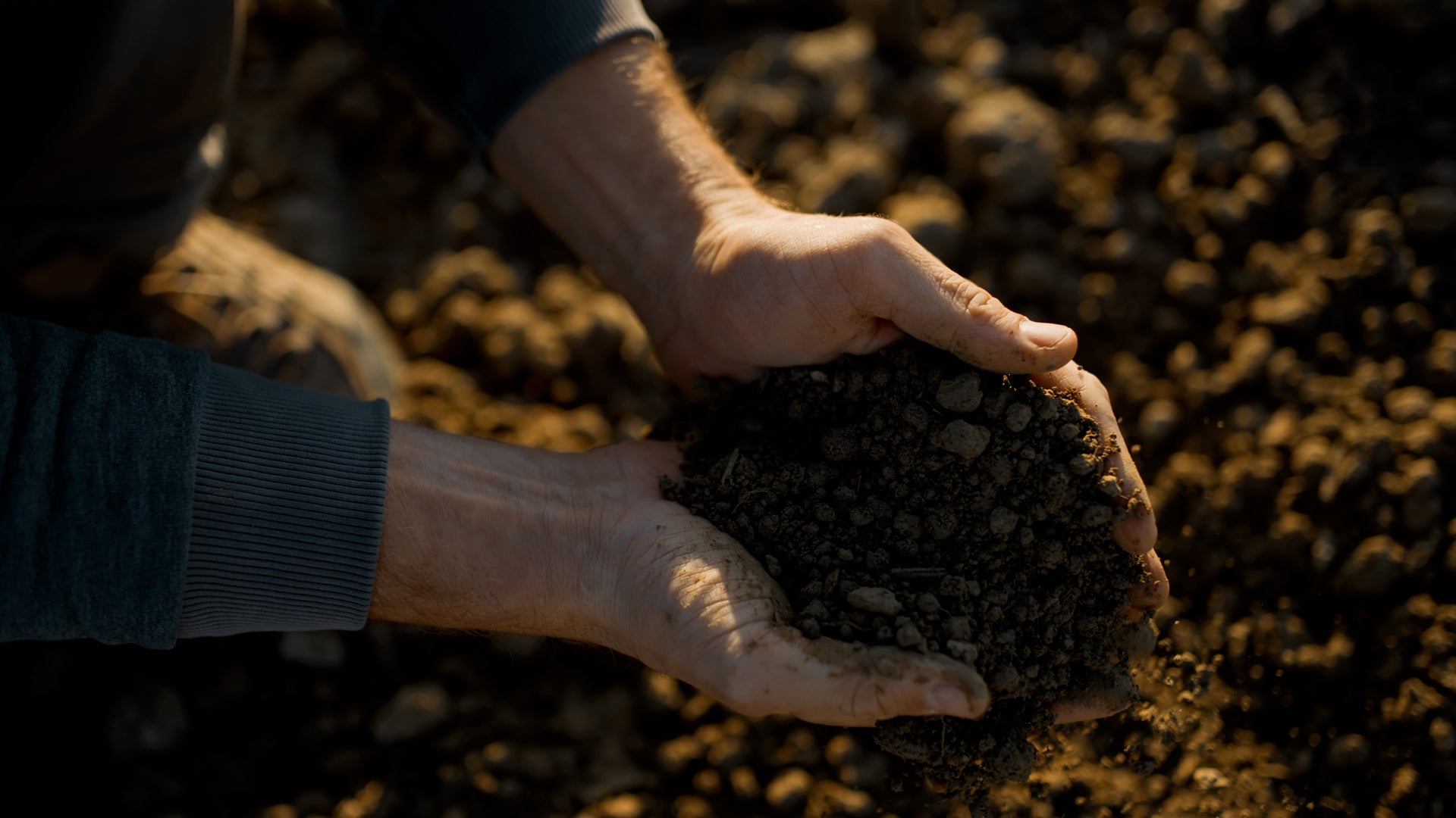 Weather Forecast and Conditions for Chambersburg, PA - The Weather ...