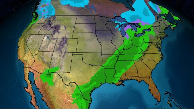 Largest Dinosaur Bones Ever Found? - Videos from The Weather Channel ...