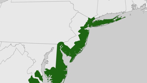 10-Day Weather Forecast for Suches, Georgia - The Weather Channel ...