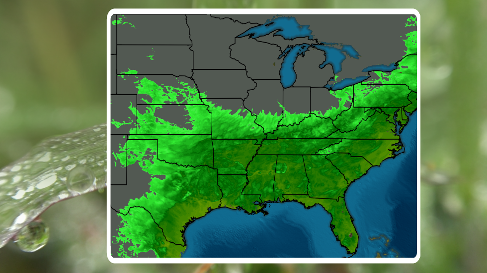 Weather Words: Why The 'Dew Point' Matters | Weather.com