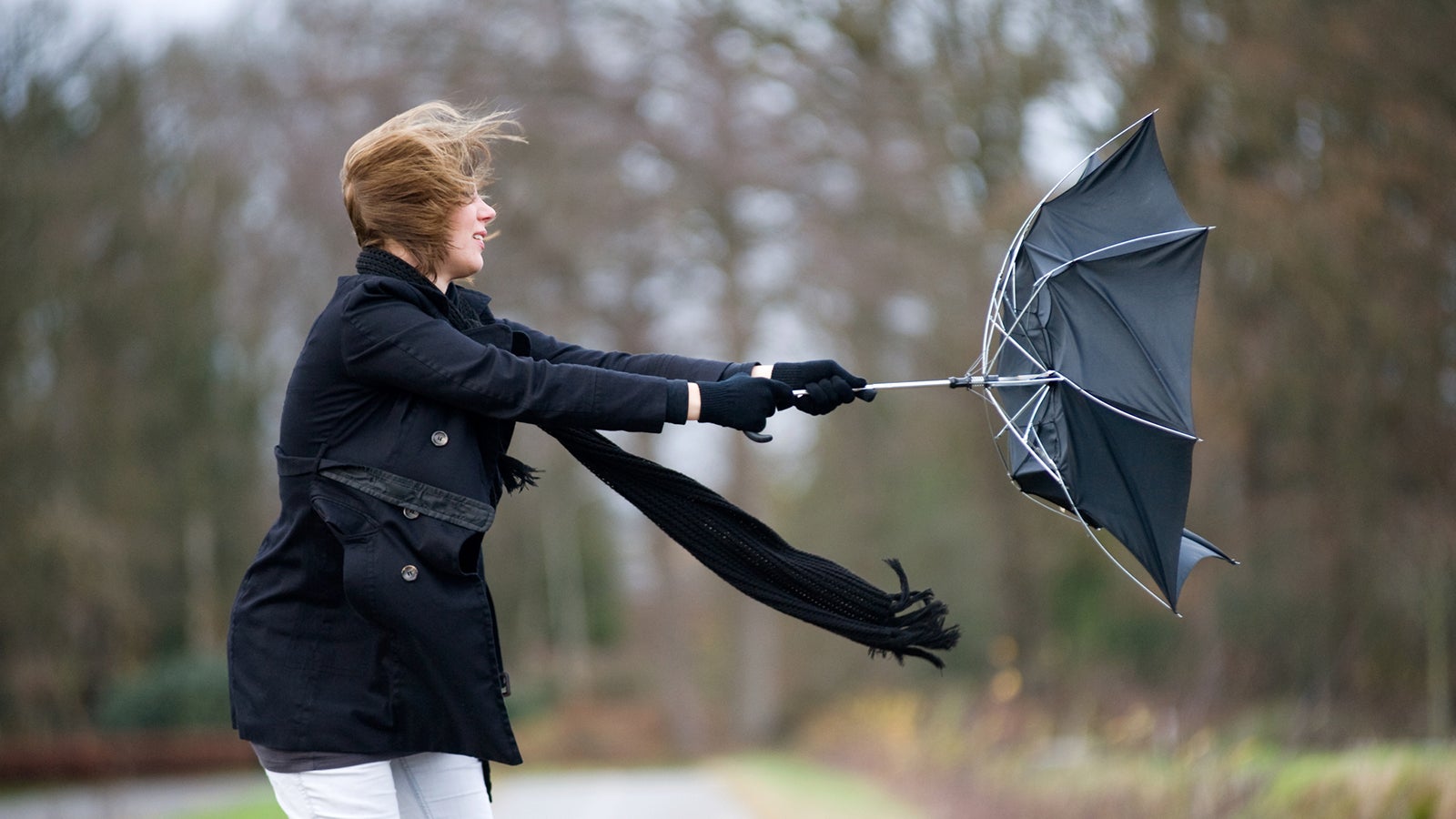 Sehr stürmisch im Norden und sonnig im Süden - Videos from The Weather ...