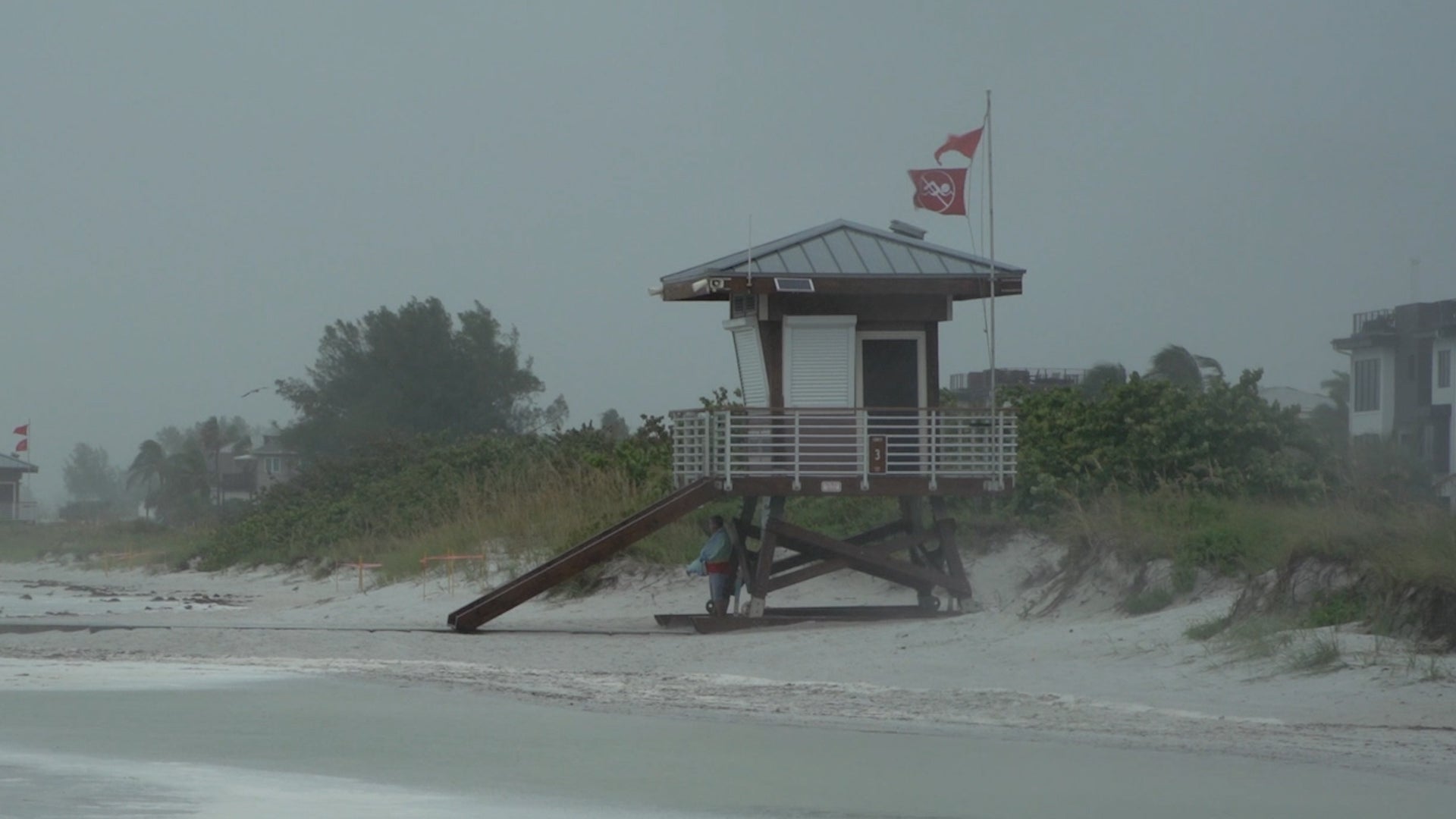 Weather Forecast and Conditions for San Francisco, CA - The Weather ...