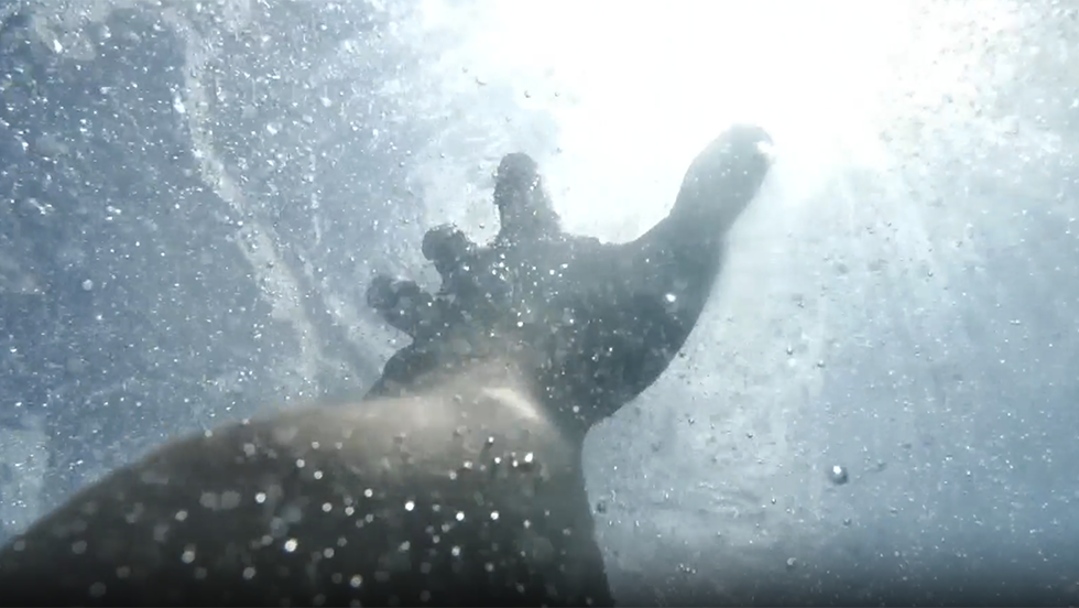 What Drowning Really Looks Like - Videos from The Weather Channel