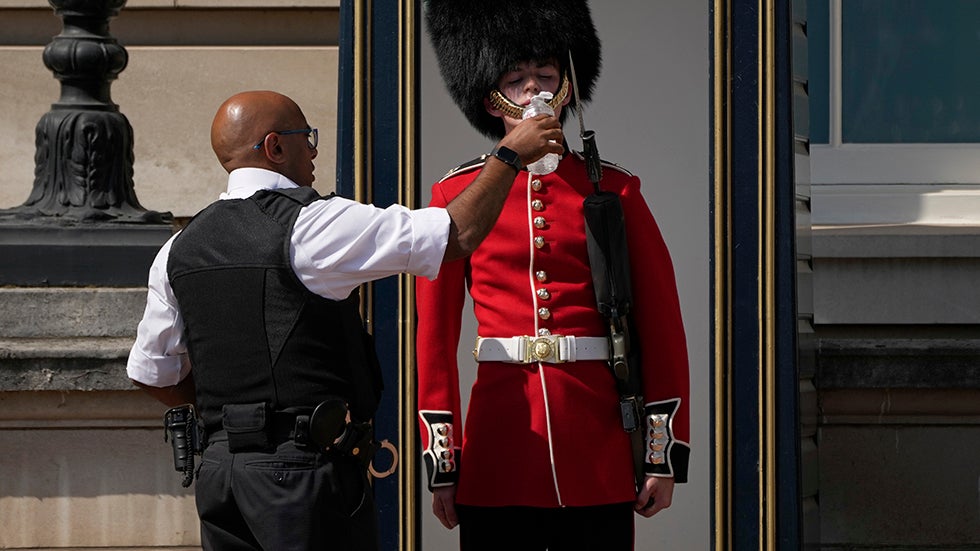 Water is Gushing from an Old Tree in Montenegro, Here's Why - Videos ...