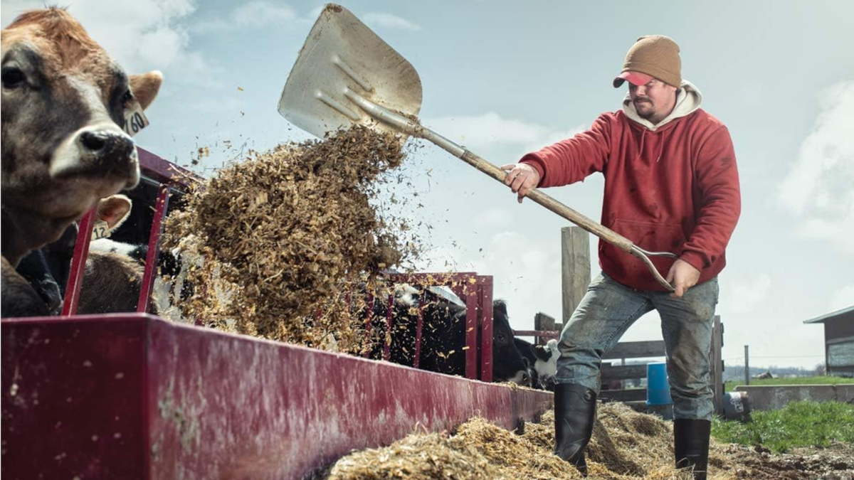 Best Muck Boots For Winter Storms And Spring Showers | Weather.com