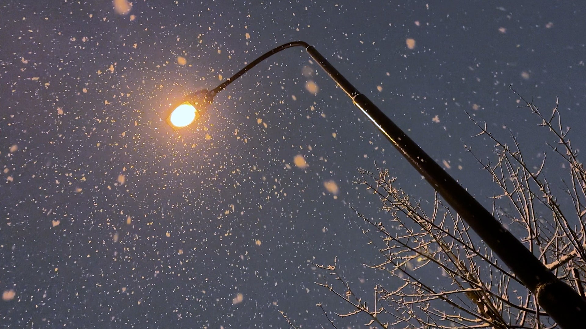 National and Local Weather Radar, Daily Forecast, Hurricane and ...