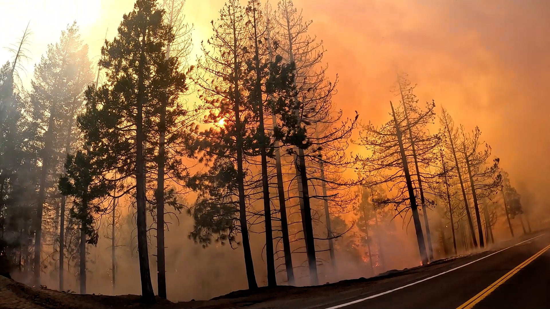 National and Local Weather Radar, Daily Forecast, Hurricane and ...