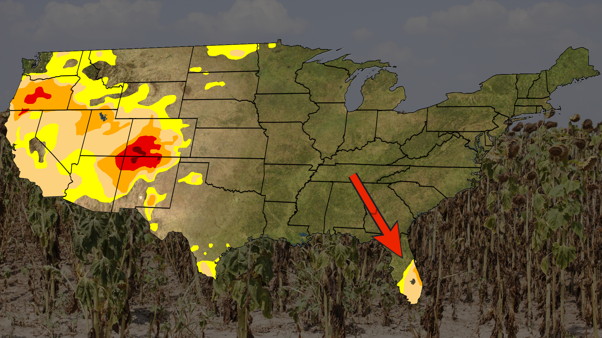 Florida Drought Has Grown to Severe Level. Here's Why It’s So Different ...