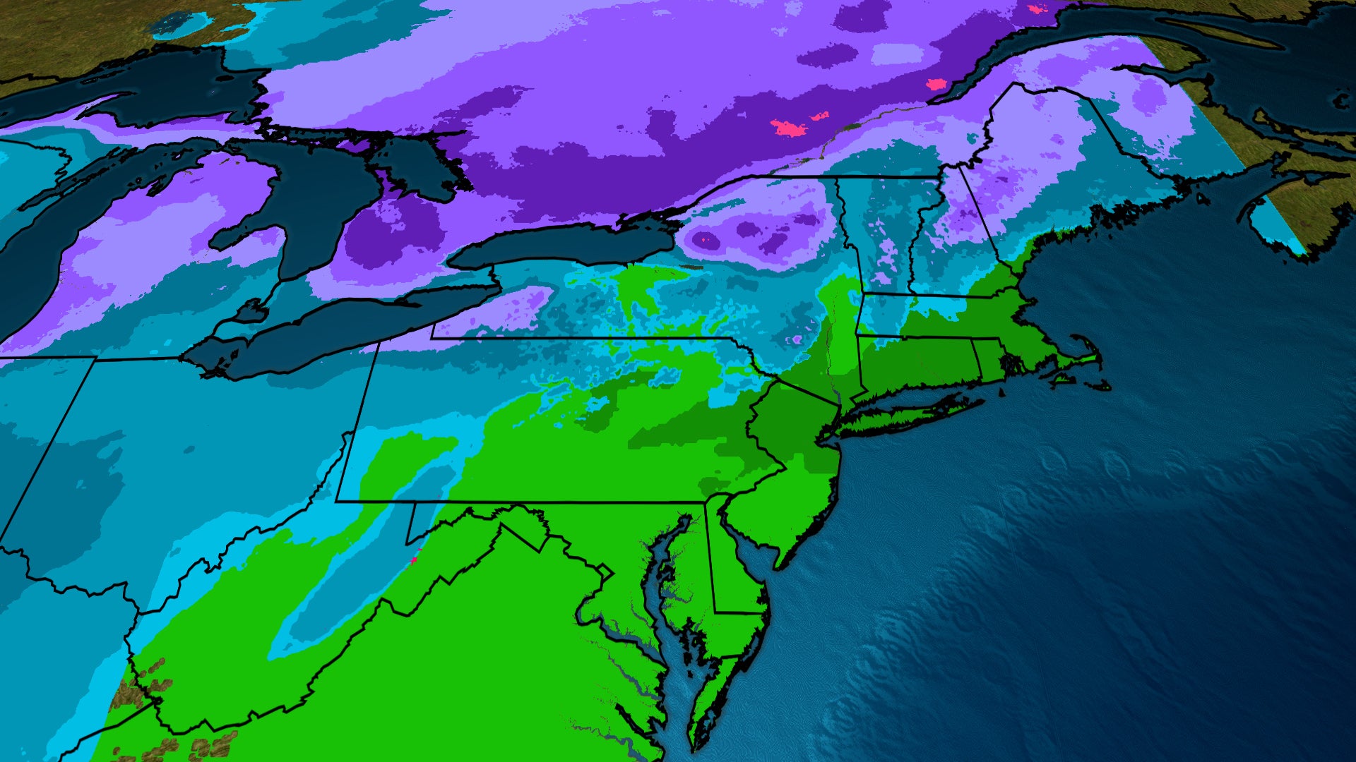 Wild Boar Dubbed ‘Pigzilla’ Spotted Digging Through Hong Kong Dumpster ...