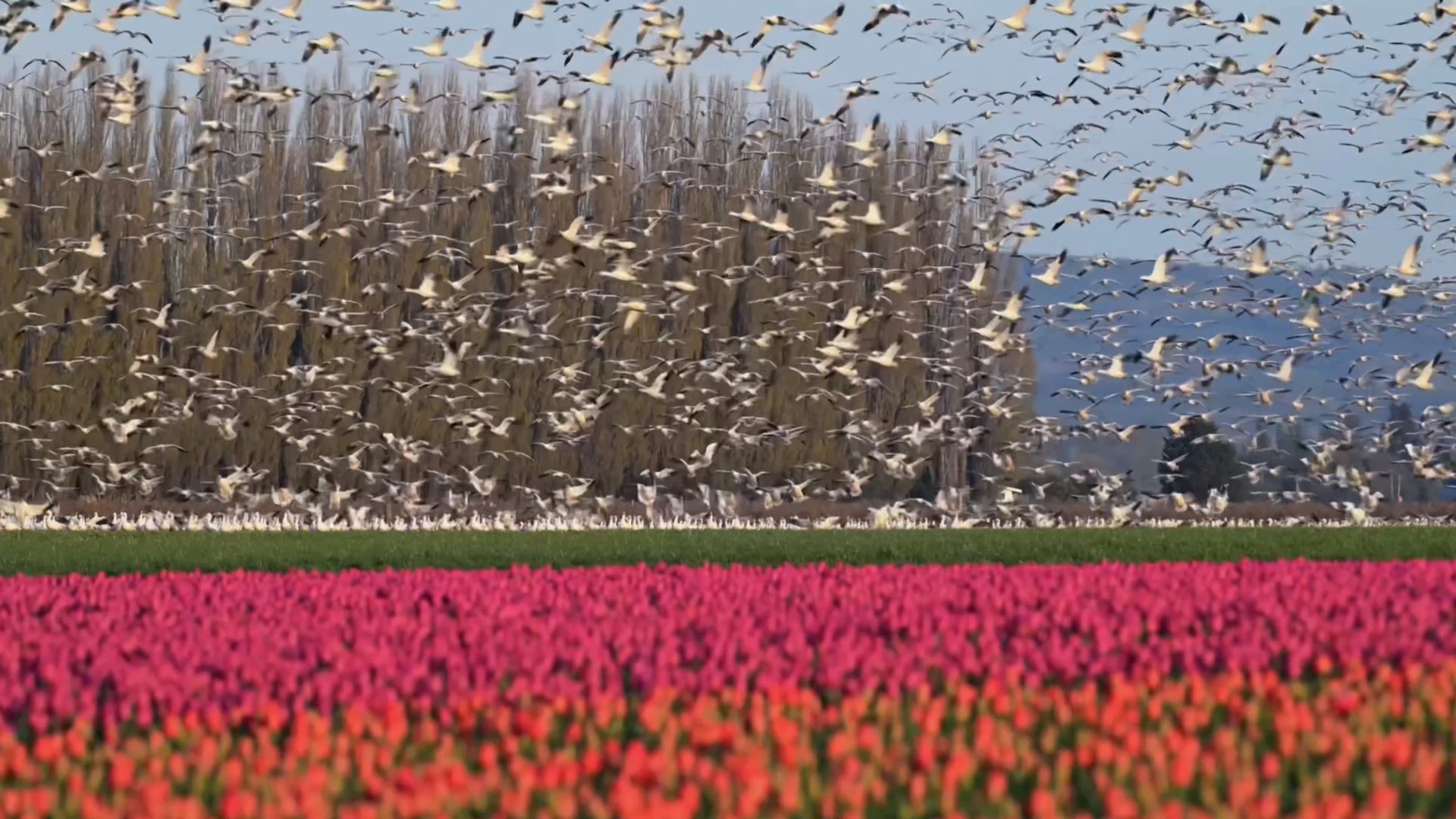 10-Day Weather Forecast for Citrus Springs, FL - The Weather Channel ...