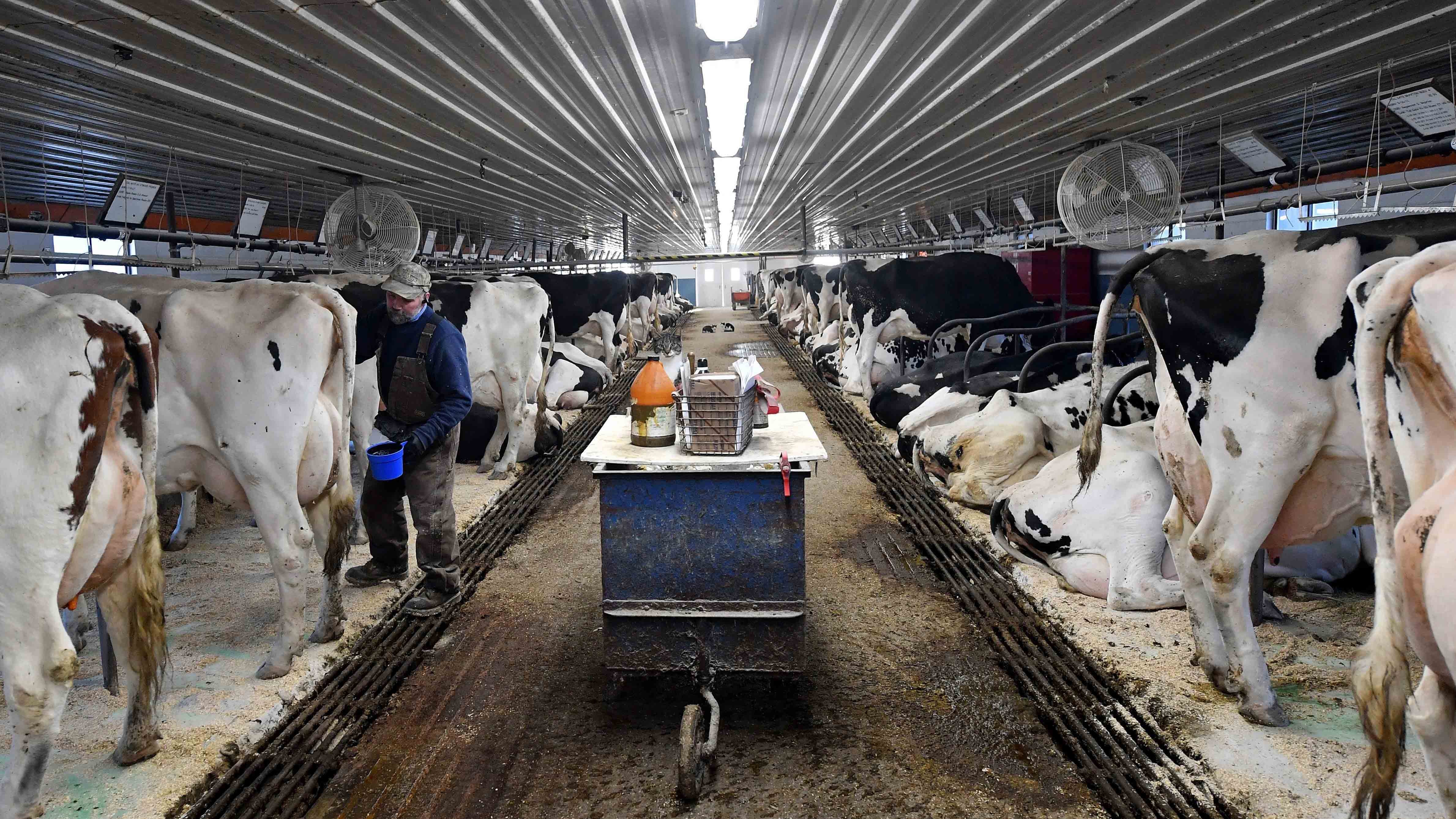 Already Reeling from Flooding and Heat Waves, Farmers Struggle as ...