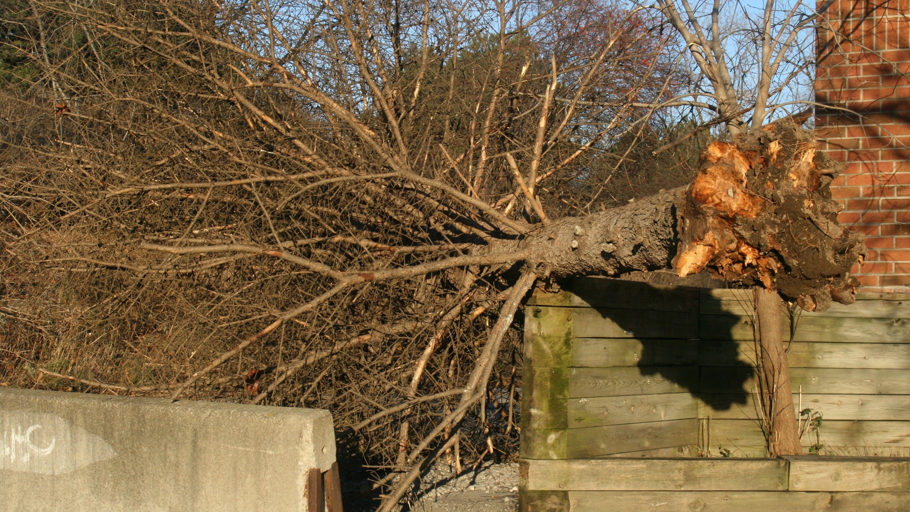 Under A High Wind Warning? Here's How To Prepare | Weather.com