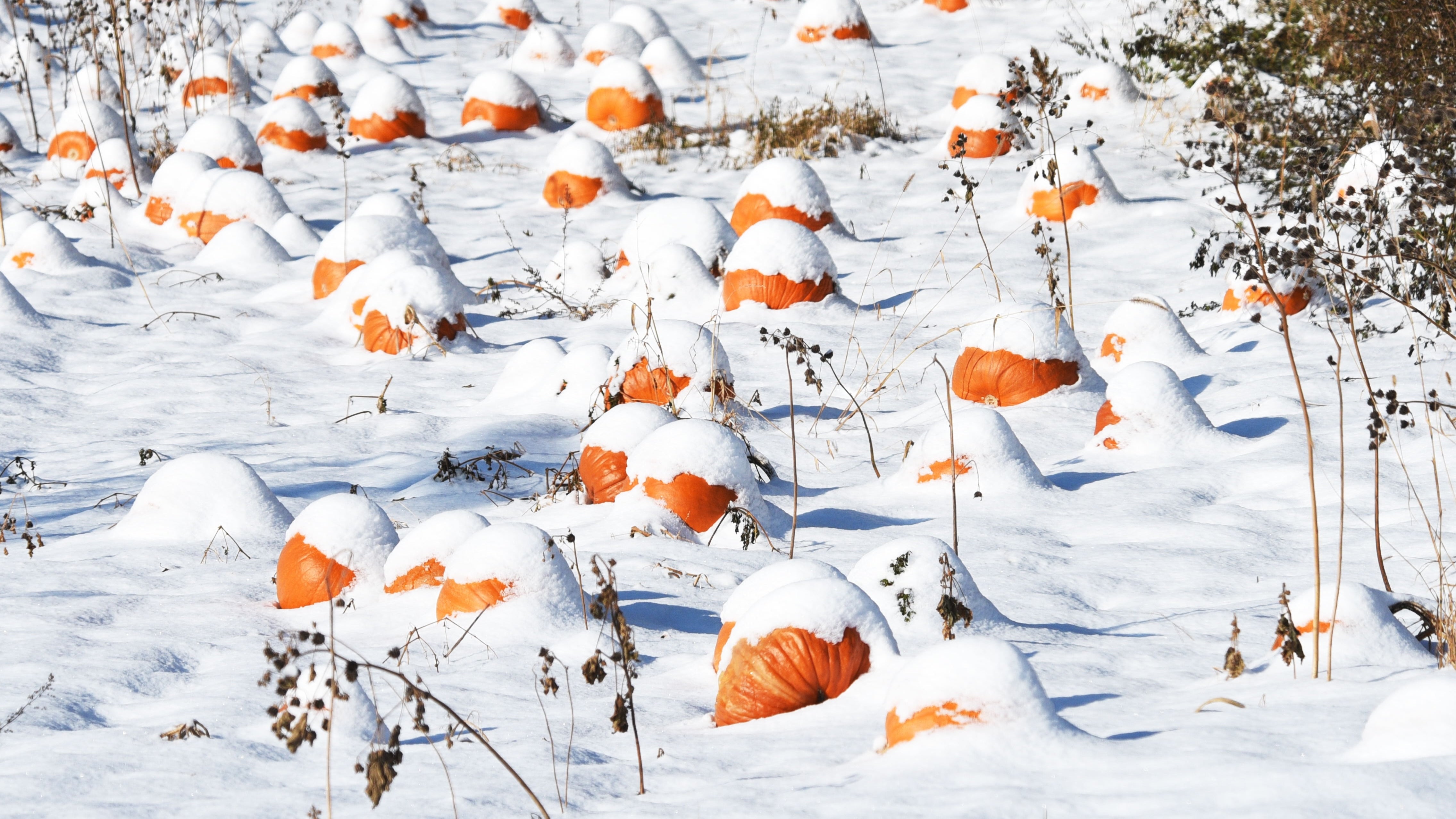 ‘Astronomical Fall’ Can Mean Winter Weather For Many, Setting A Time ...