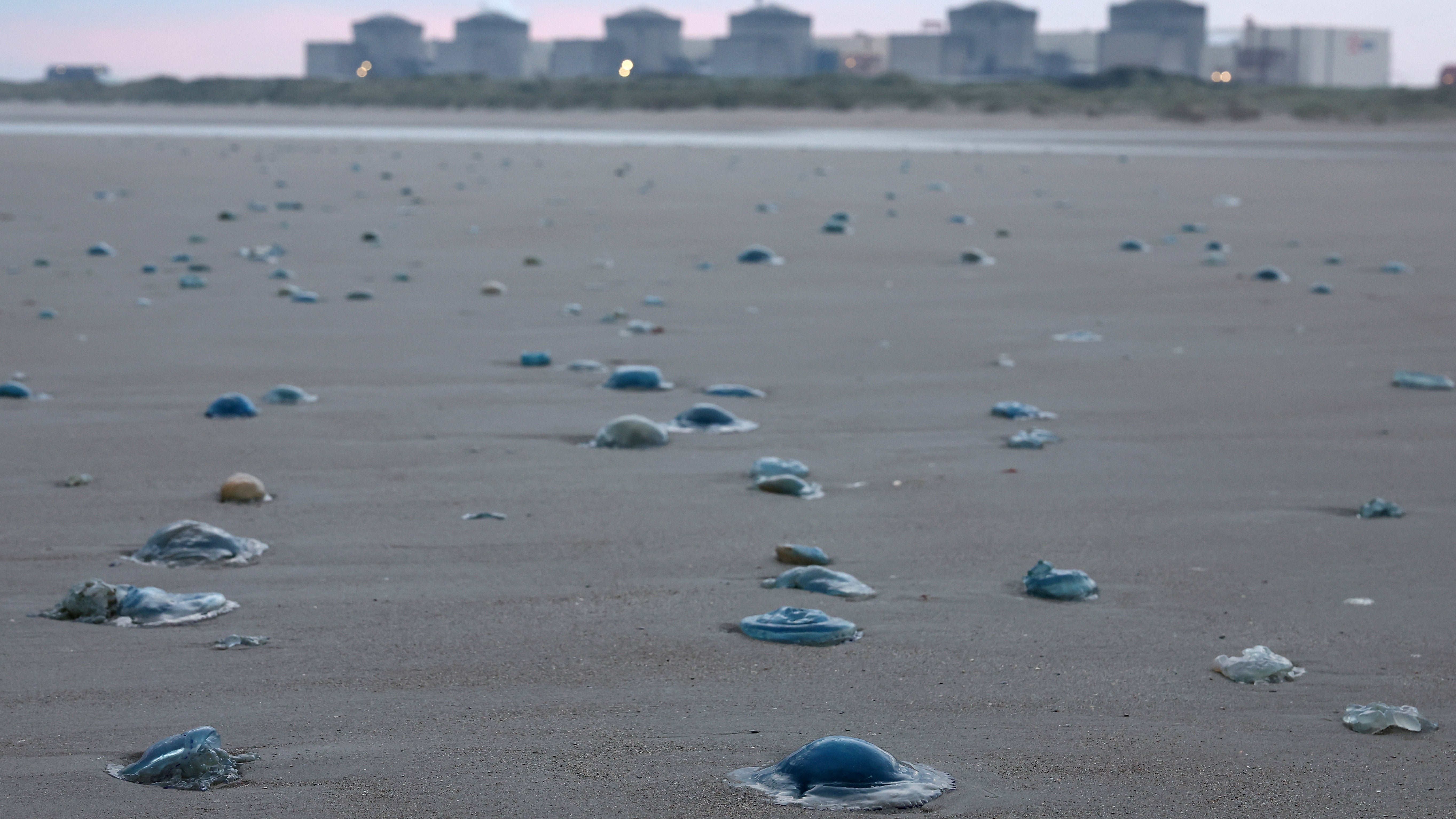 Weather Forecast and Conditions for East Moline, IL - The Weather ...