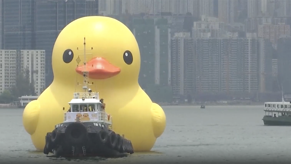 Giant Inflatable Ducks Pop Up In Harbor - Videos from The Weather Channel