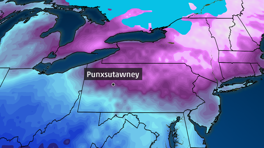 Groundhog Day 2019 Forecast: Will Punxsutawney Phil See His Shadow ...
