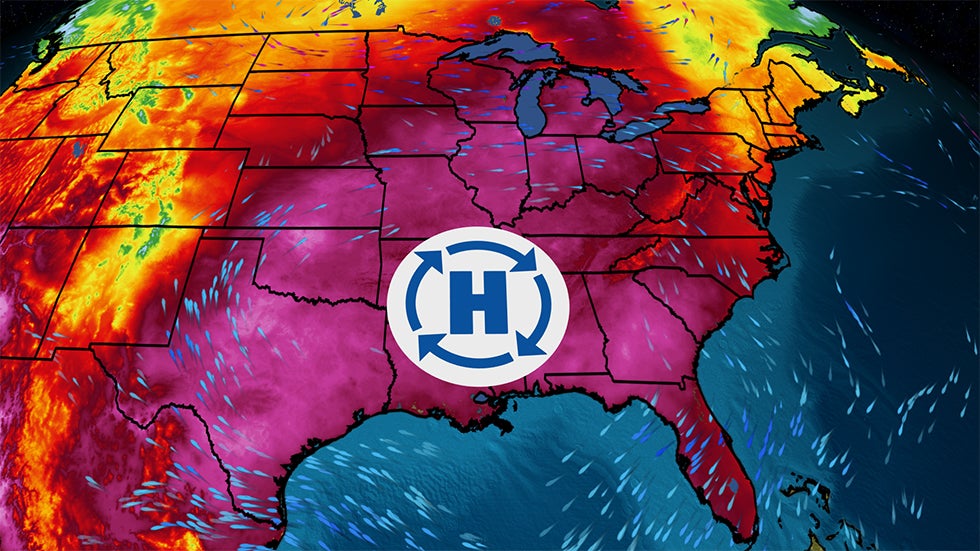 Freaky Fish has Transparent Head, Eyes See Through It - Videos from The ...