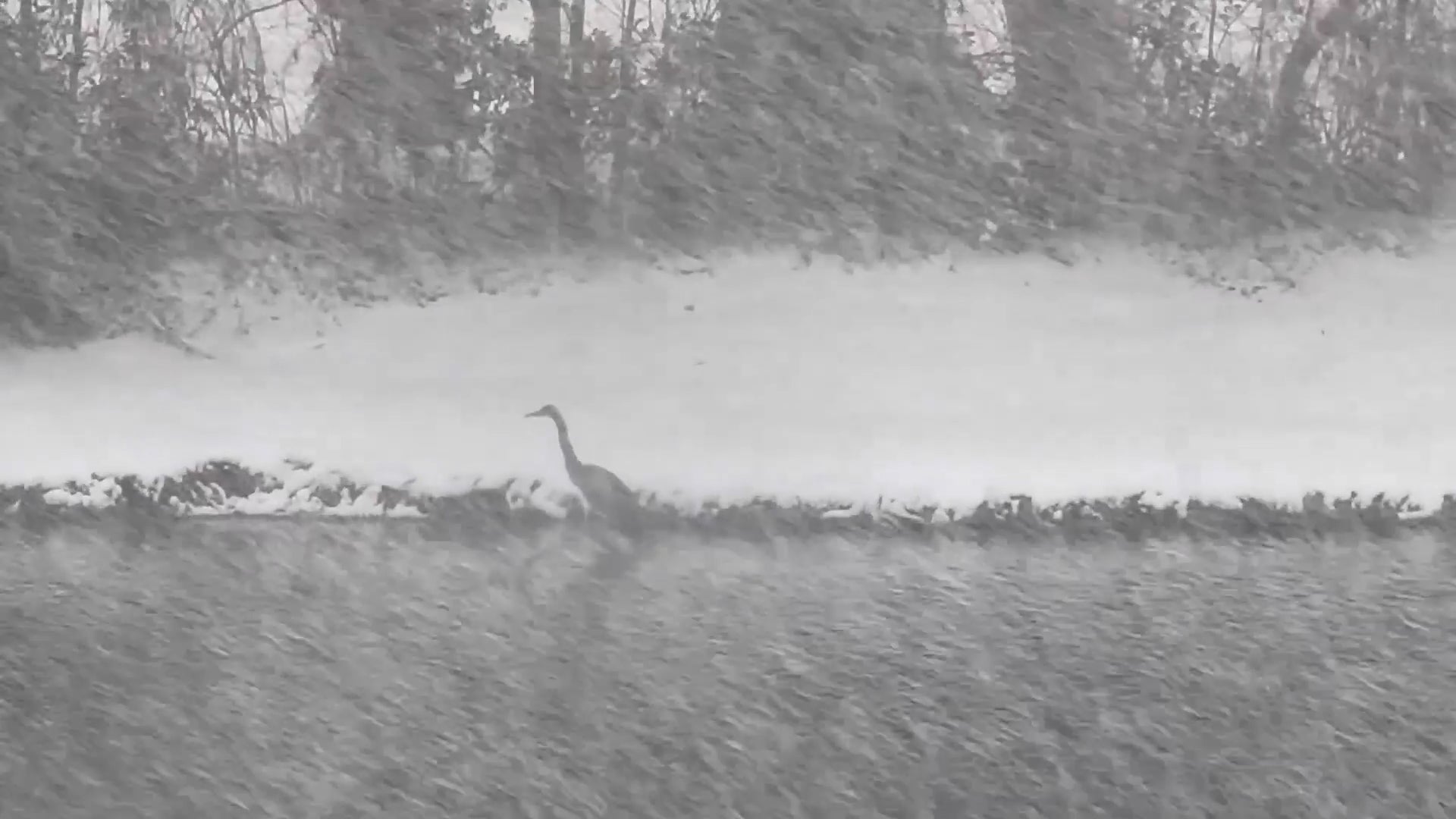 What Is A Gustnado, And How Do They Form? - Videos from The Weather Channel