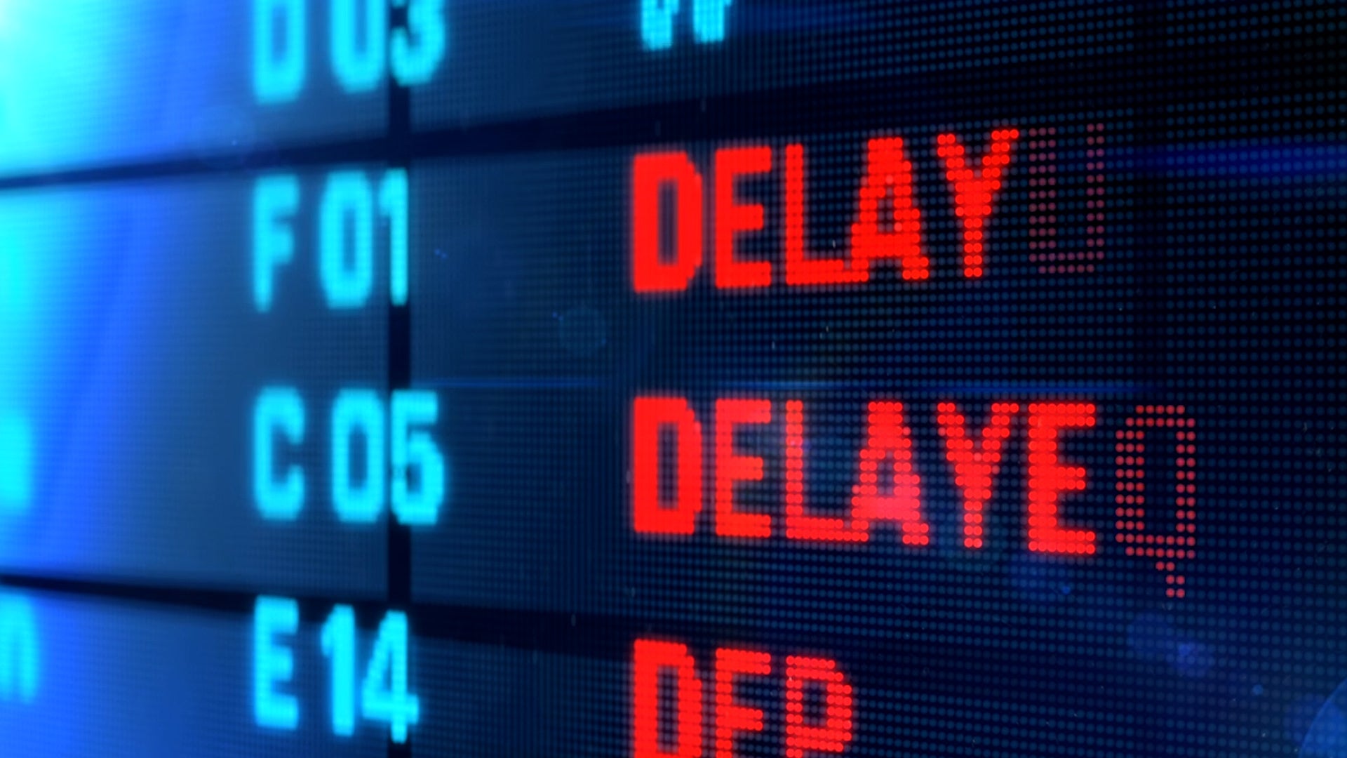 Watch: Grizzly Bear Chases Moose In Montana - Videos from The Weather ...