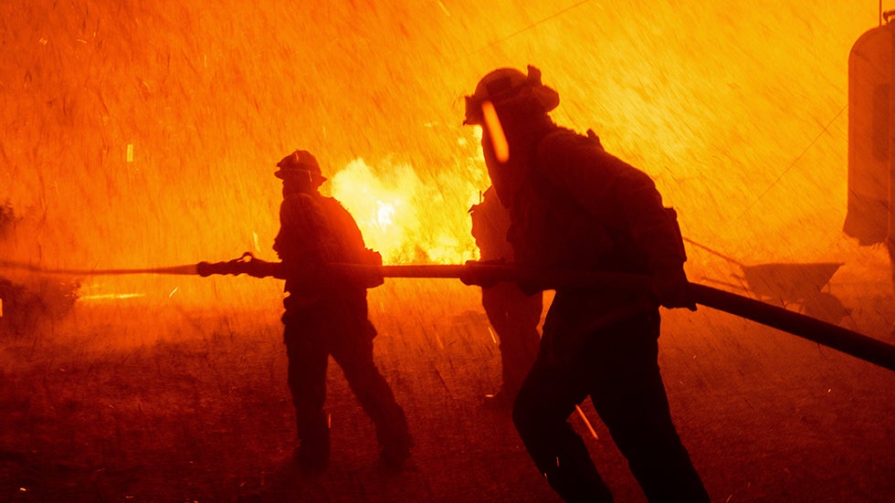 Farewell to Roger the Ripped Roo - Videos from The Weather Channel